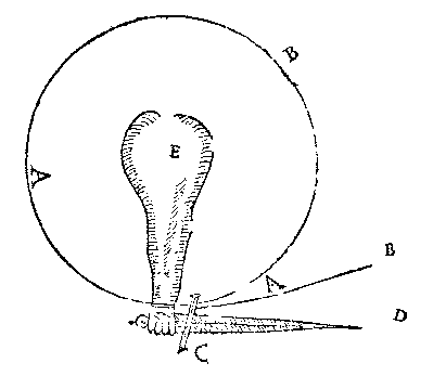 Giacomo di Grassi - His True Arte of Defense